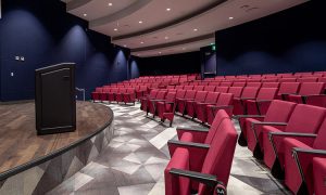 Auditorium Seating – Welltuch
